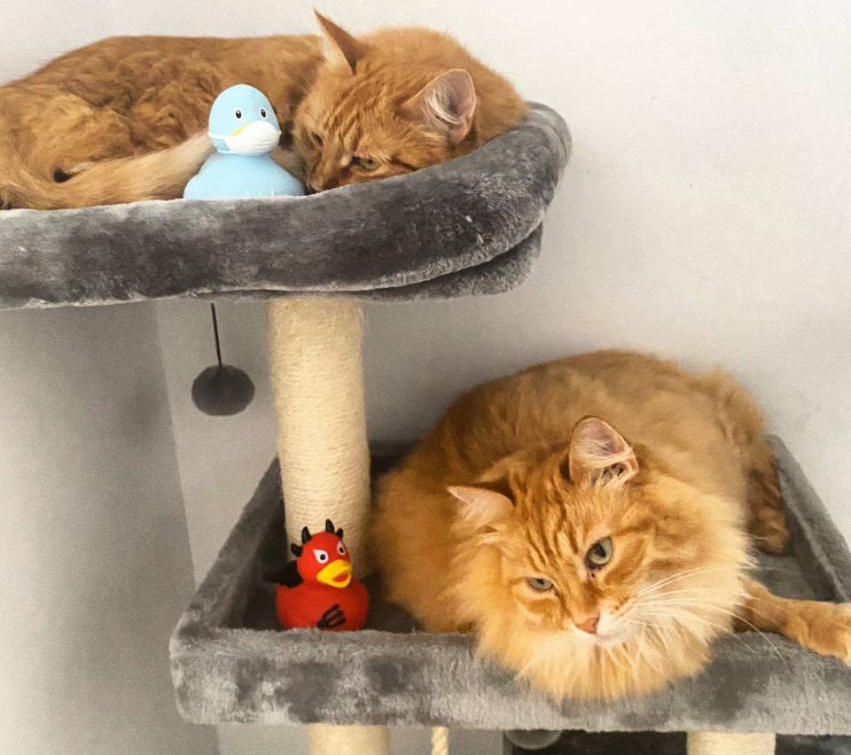 The road to Software Architecture (frontend edition) | kalabro.tech by ...