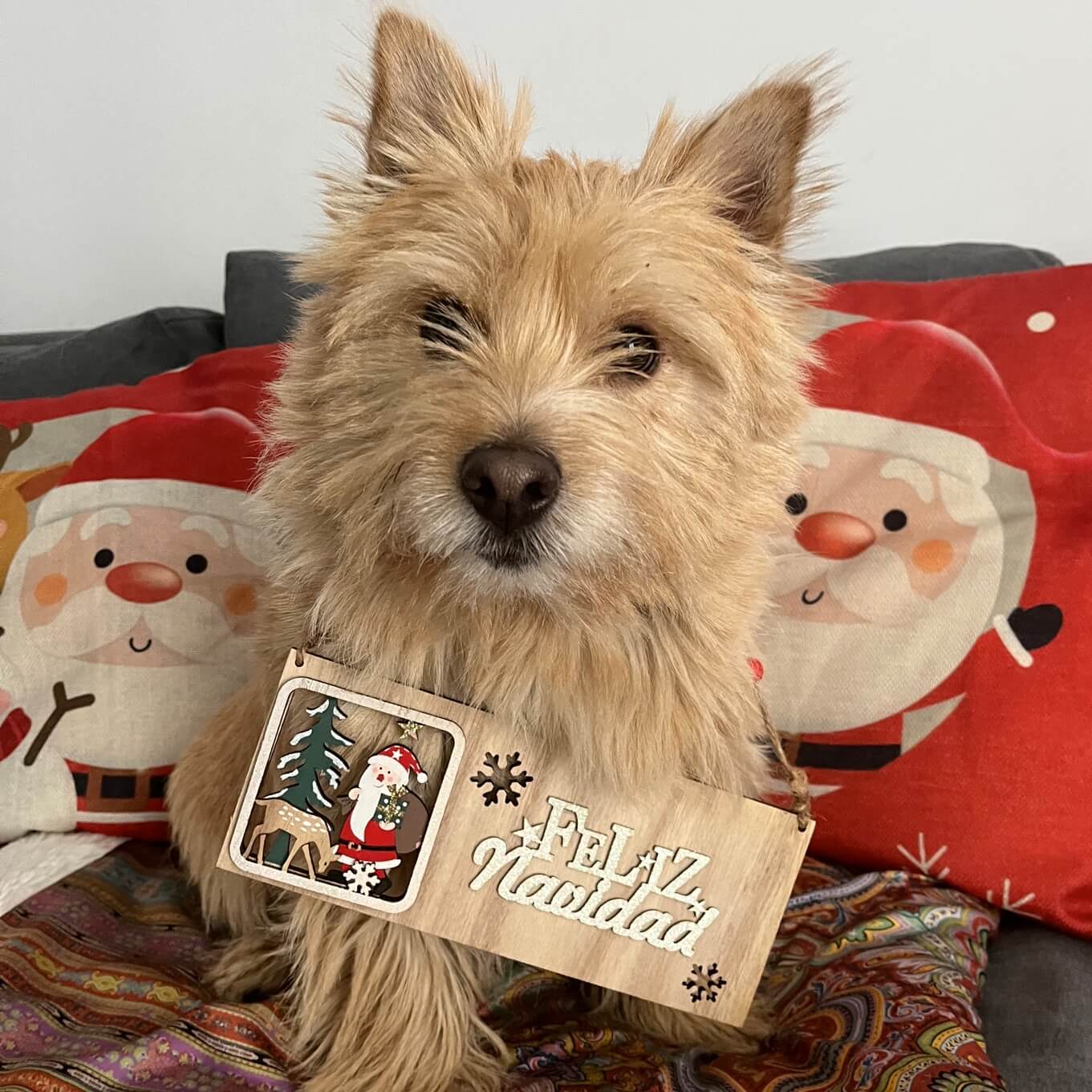 My tech year in review (2023) | kalabro.tech by Kate Marshalkina